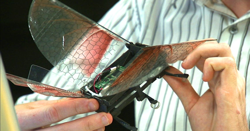 Creepy cockroach-like robot could find earthquake survivors - CBS News