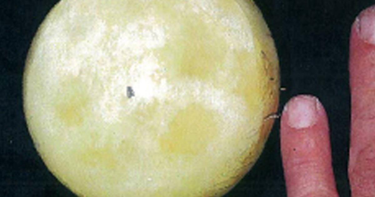 NASA moon rock sting nabs terrified granny - CBS News