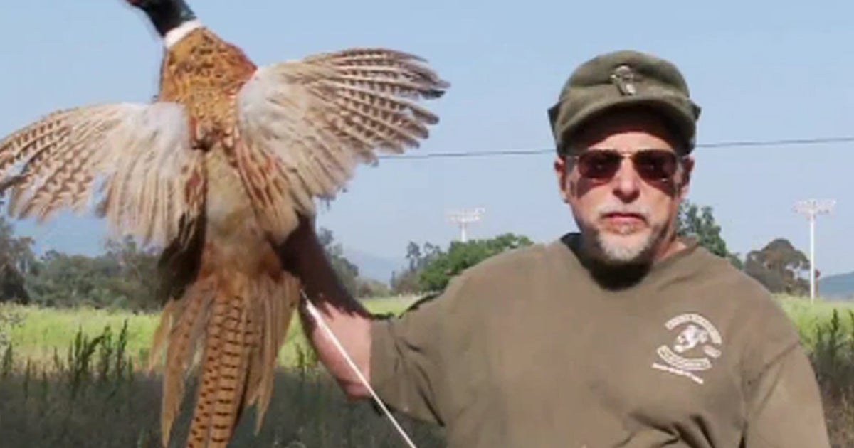 Chuck Testa gets an auto-tuned song made out of his viral commercial ...