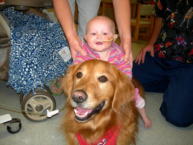 Therapy animals: Doggie docs, horse helpers, and more