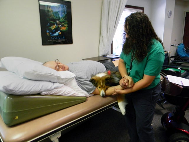 Therapy animals: Doggie docs, horse helpers, and more