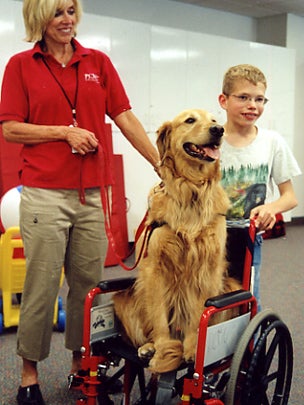 Therapy animals: Doggie docs, horse helpers, and more