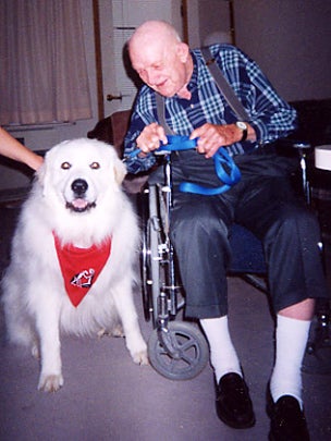 Therapy animals: Doggie docs, horse helpers, and more