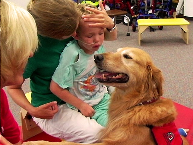 Therapy animals: Doggie docs, horse helpers, and more