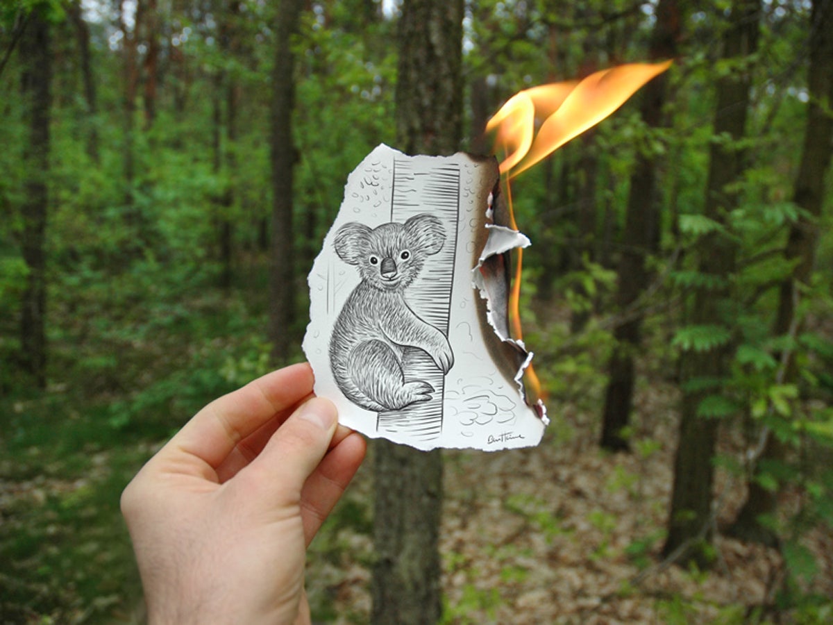 "Pencil Vs Camera" blends drawing and photography