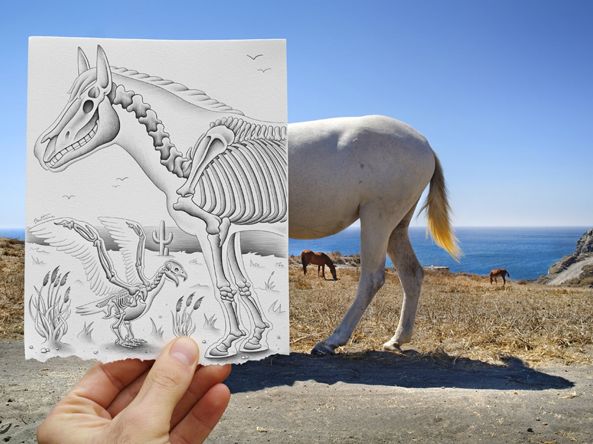 "Pencil Vs Camera" blends drawing and photography