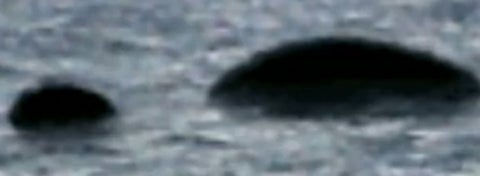 Photos: "Champ" – American Loch Ness monster?