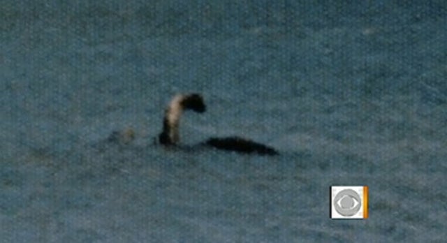 Photos: "Champ" – American Loch Ness monster?