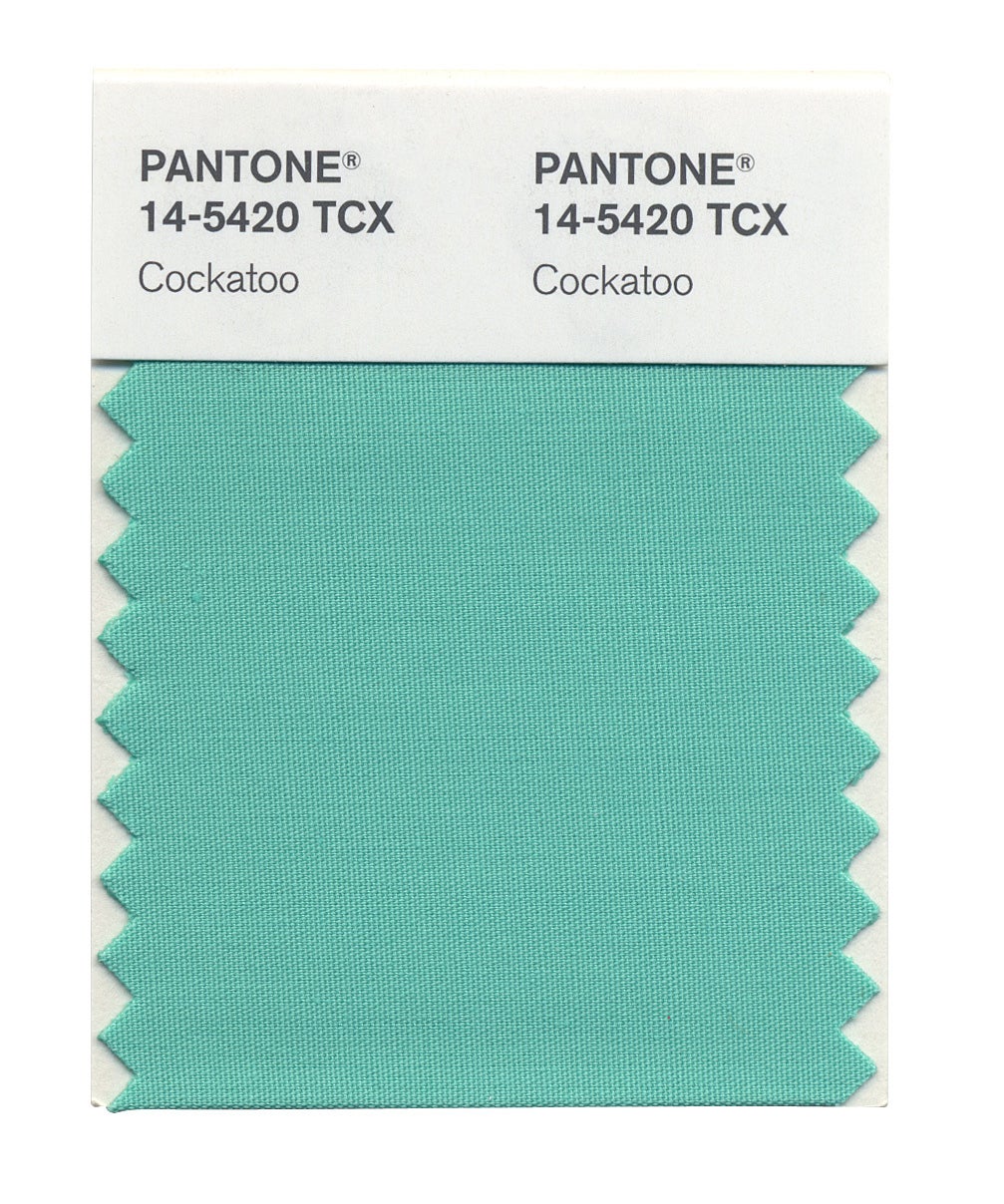 Best paint color for every room in your house 2012