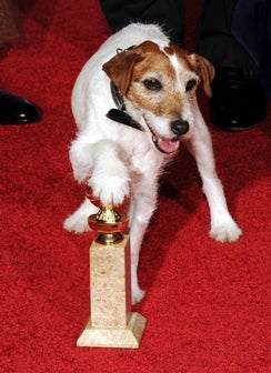 Uggie, the dog from "The Artist," to retire - CBS News