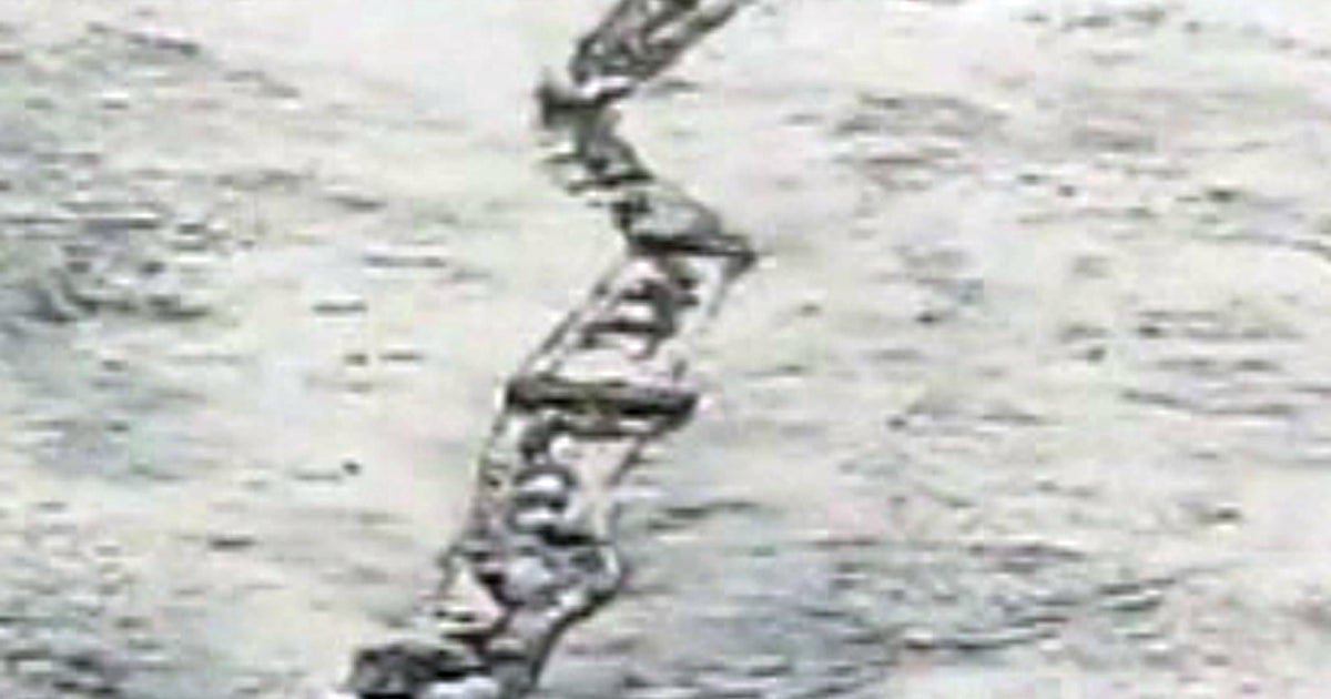 Iceland's Loch Ness monster? - CBS News