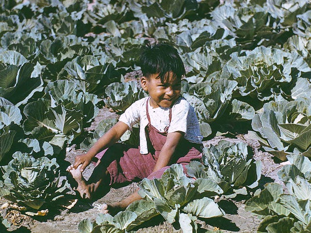 Rare color photos: Kids in the 1940s