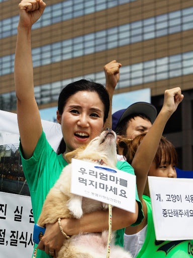 Anti-dog meat protest held in South Korea