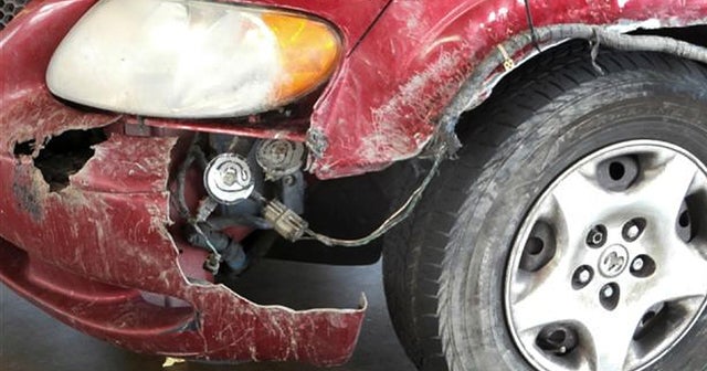 Pit bulls maul Calif. minivan chasing kitten - CBS News