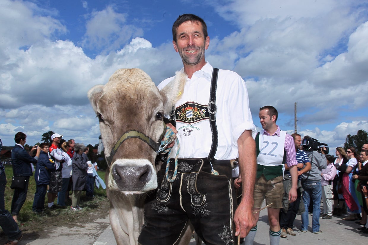 Bavarian Ox Racing Championships