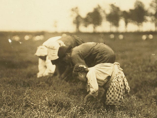 Child labor from 1908 to 1917