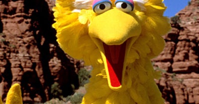 Big Bird gets career boost from debate mention - CBS News