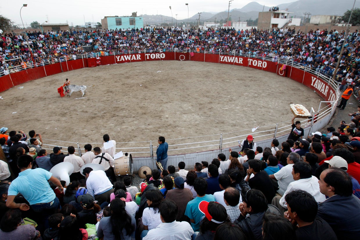 Bullfighting festival in Peru
