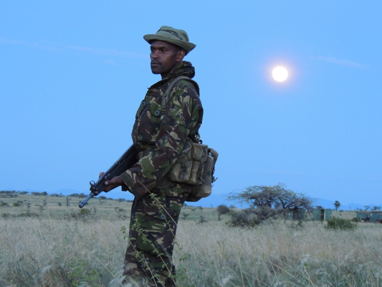 Blood & ivory: Elephant poaching in Kenya