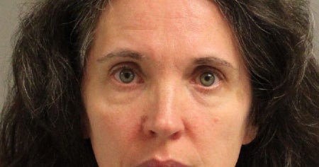 "The Other Woman" tried to hire hit man to kill lover's wife, say Md ...