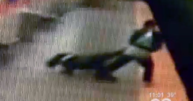 Philadelphia Subway Attack: Man arrested after throwing woman onto ...