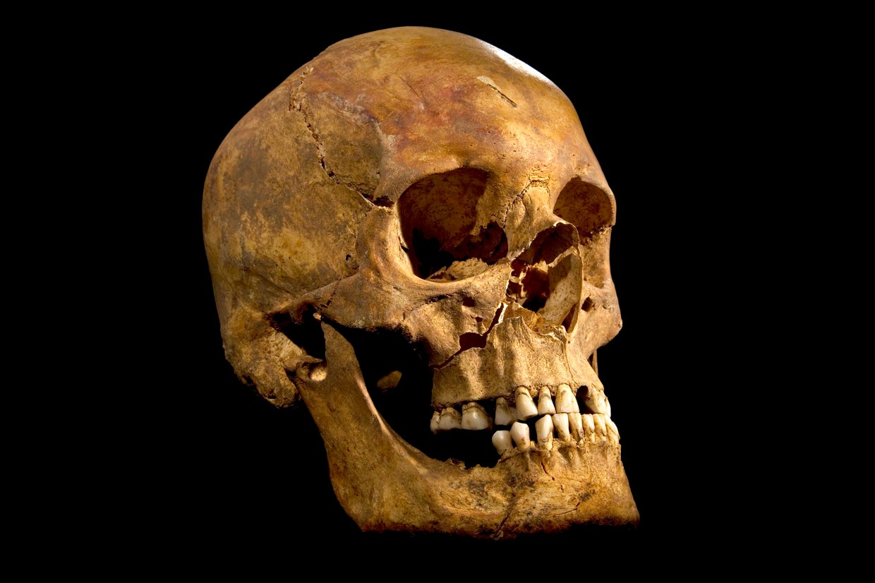 King Richard III skeleton found in parking lot
