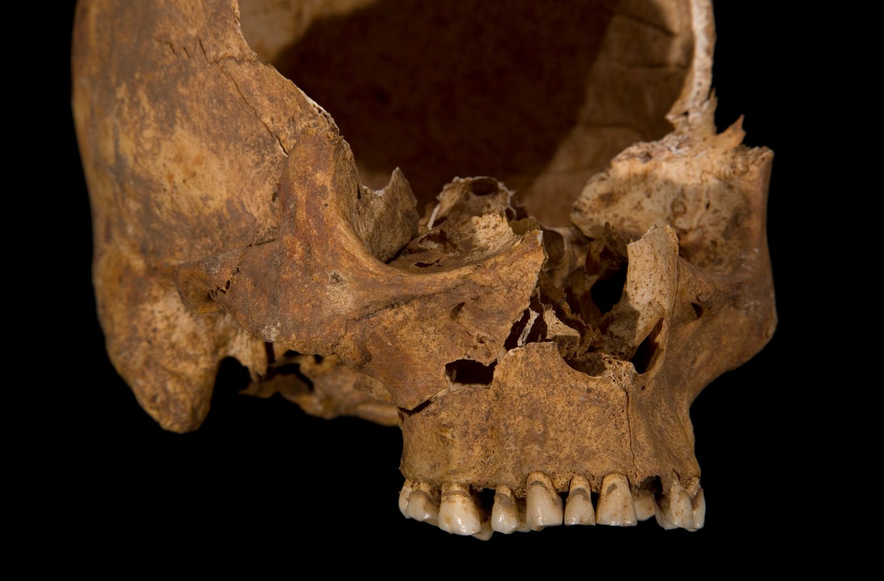 King Richard III skeleton found in parking lot