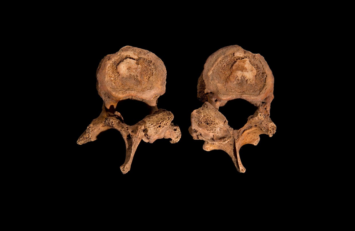 King Richard III skeleton found in parking lot