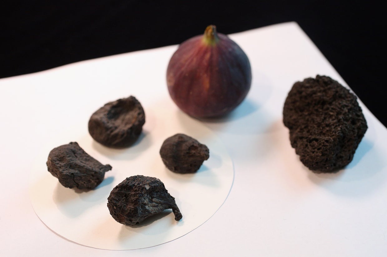 Relics of Pompeii and Herculaneum