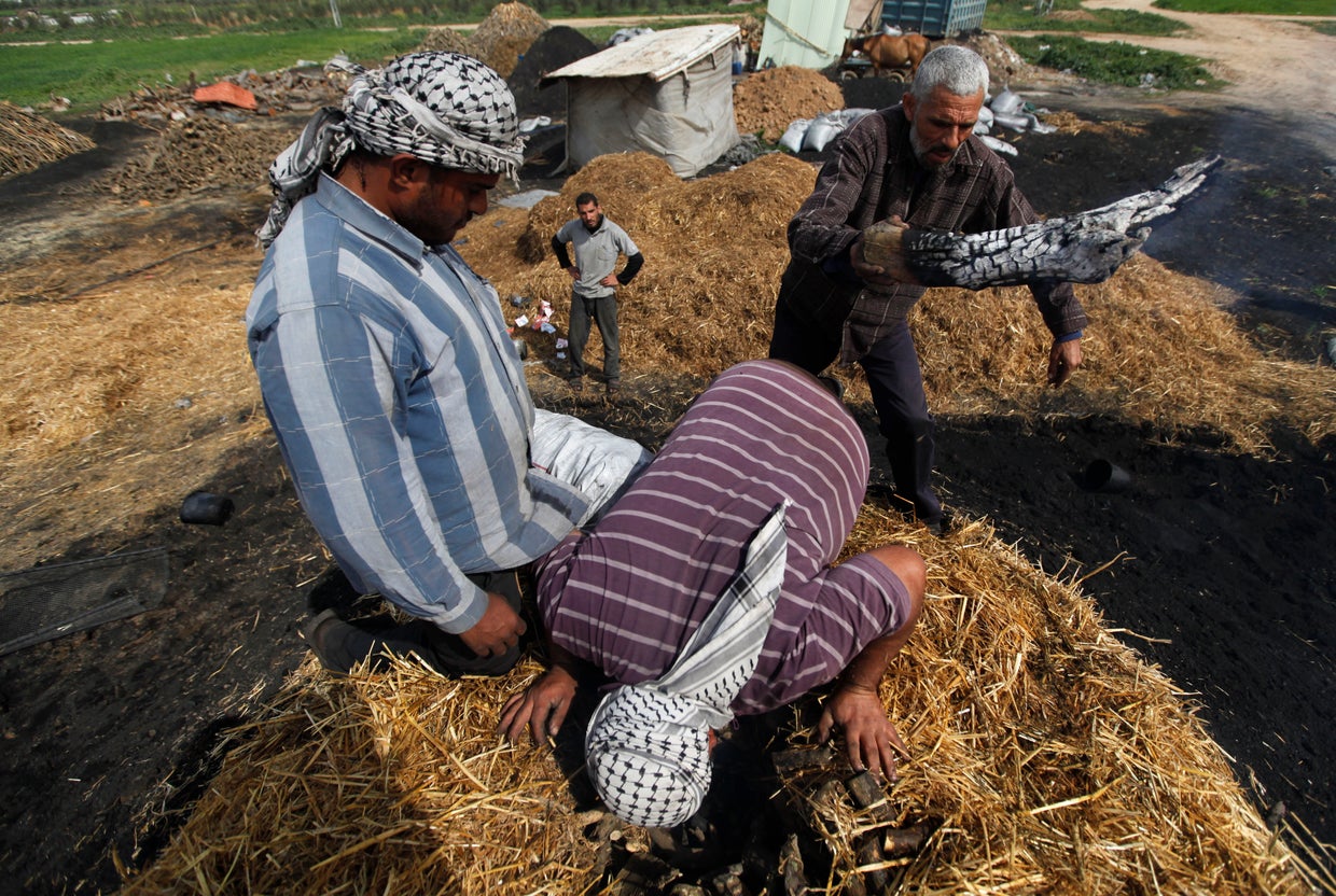 In Gaza, wood is turned to charcoal