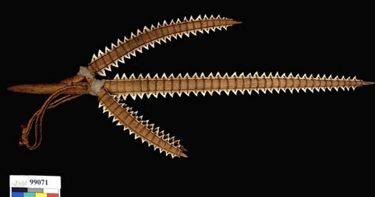 Vicious shark tooth weapons reveal 2 lost species - CBS News