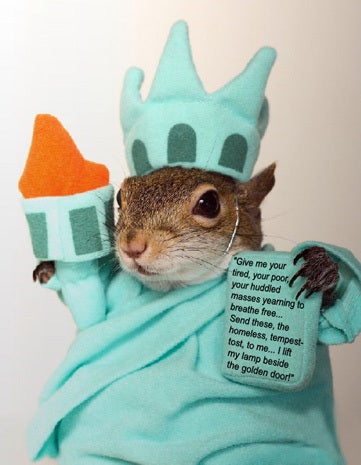 The most photographed squirrel in the world