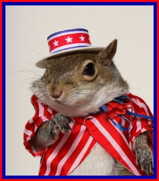 The most photographed squirrel in the world