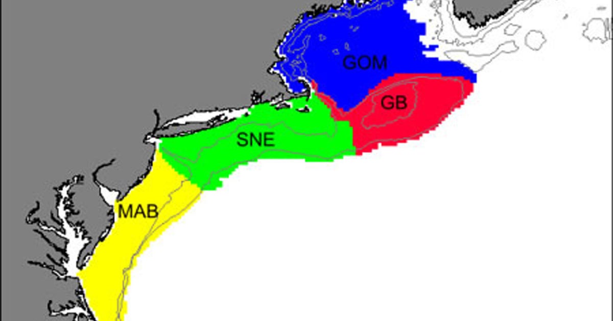 NOAA: Water temps reach a 150-year high in northeast - CBS News