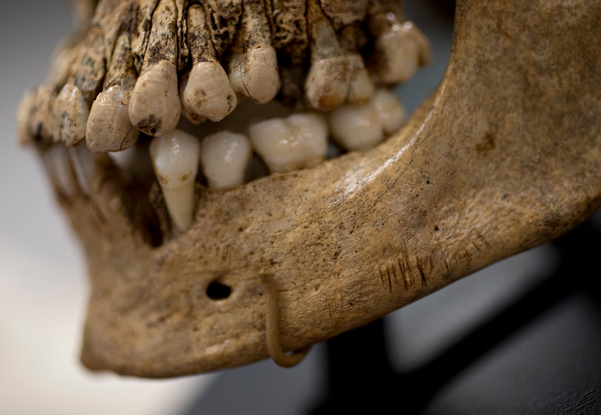 Cannibalism evidence found at Jamestown settlement - CBS News