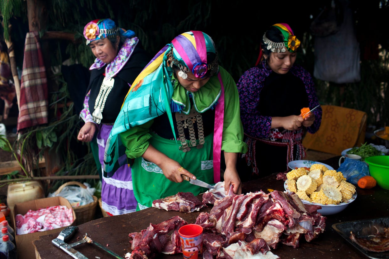 Chilean tribe struggles to reclaim land