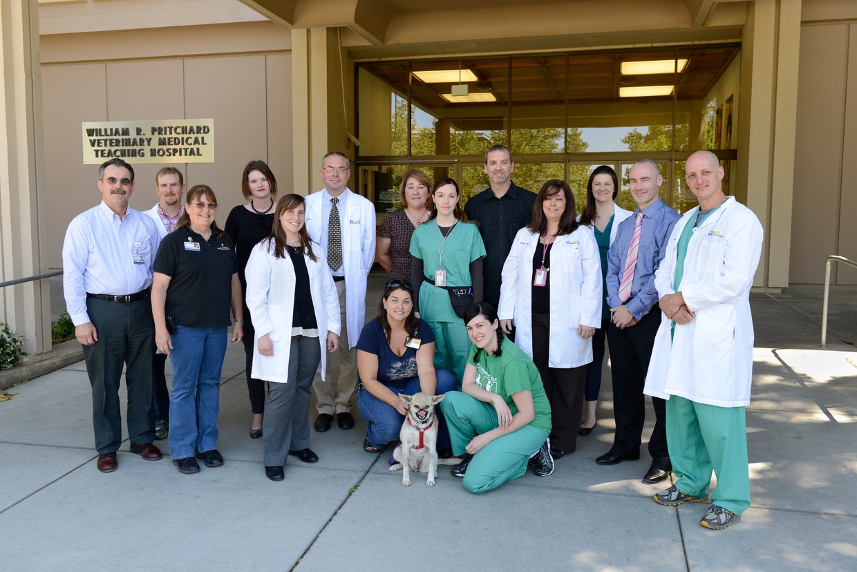 Hero dog Kabang gets new nose