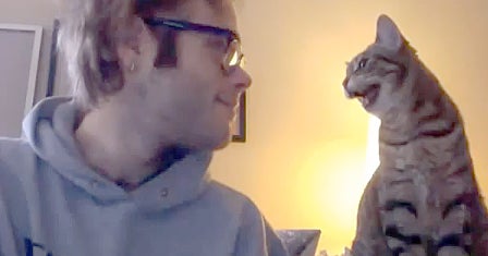 Cat plays game of "boop" and kitten fed by bottle - CBS News