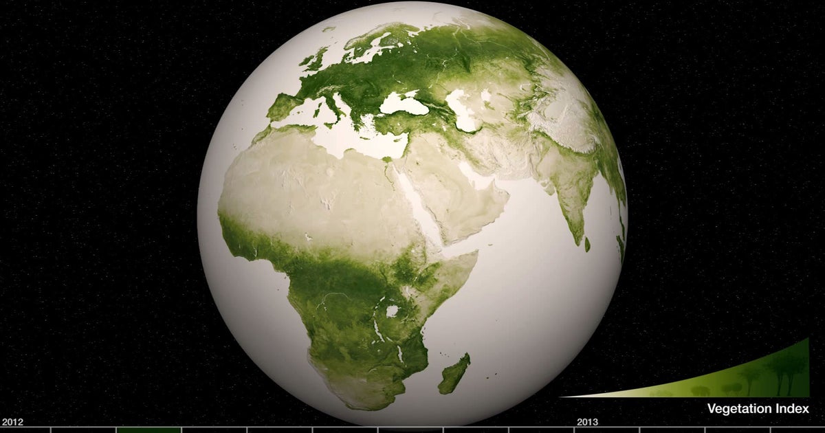 World's vegetation seen in stunning satellite imagery - CBS News