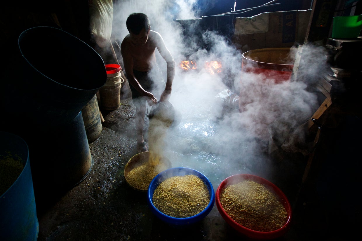 Inside an Indonesian tempeh factory