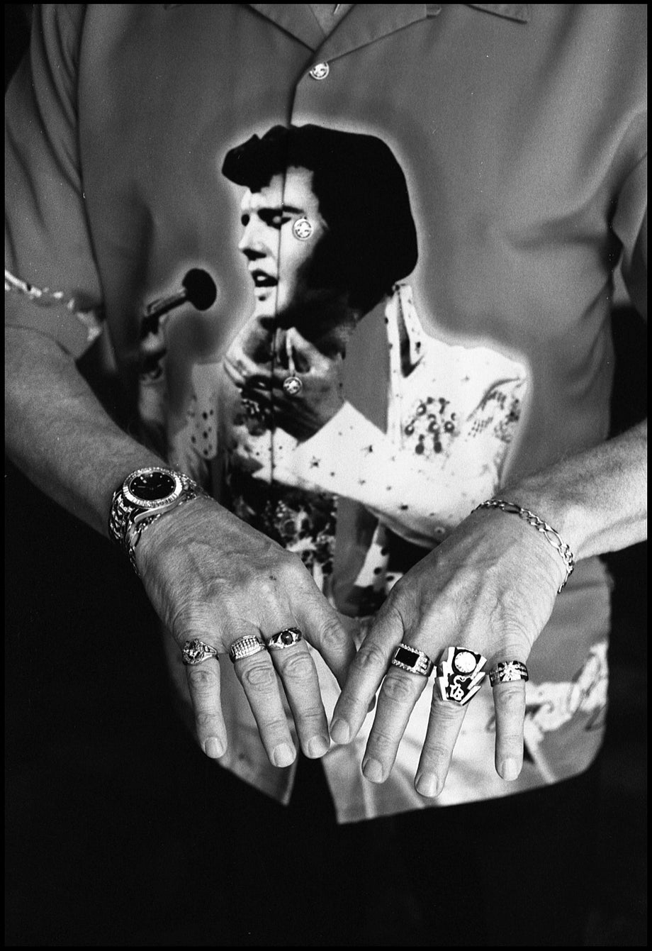 Photographing the "King"