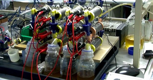 Urine-powered cell phones? - CBS News