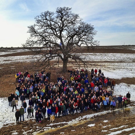 Mark Hirsch photographs "That Tree"