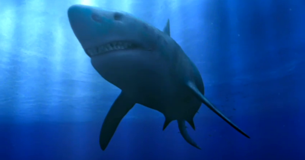 German tourist on life support after losing arm in Hawaii shark attack ...