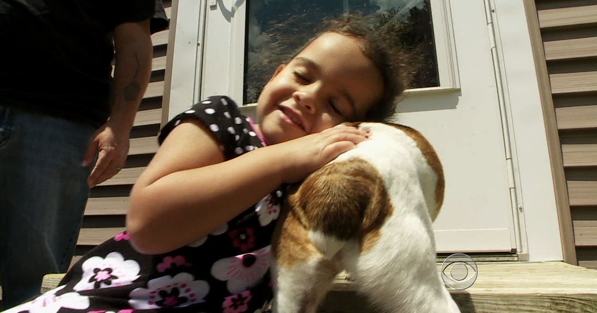 Adoptive parents say "Baby Veronica" dispute has been a "nightmare ...