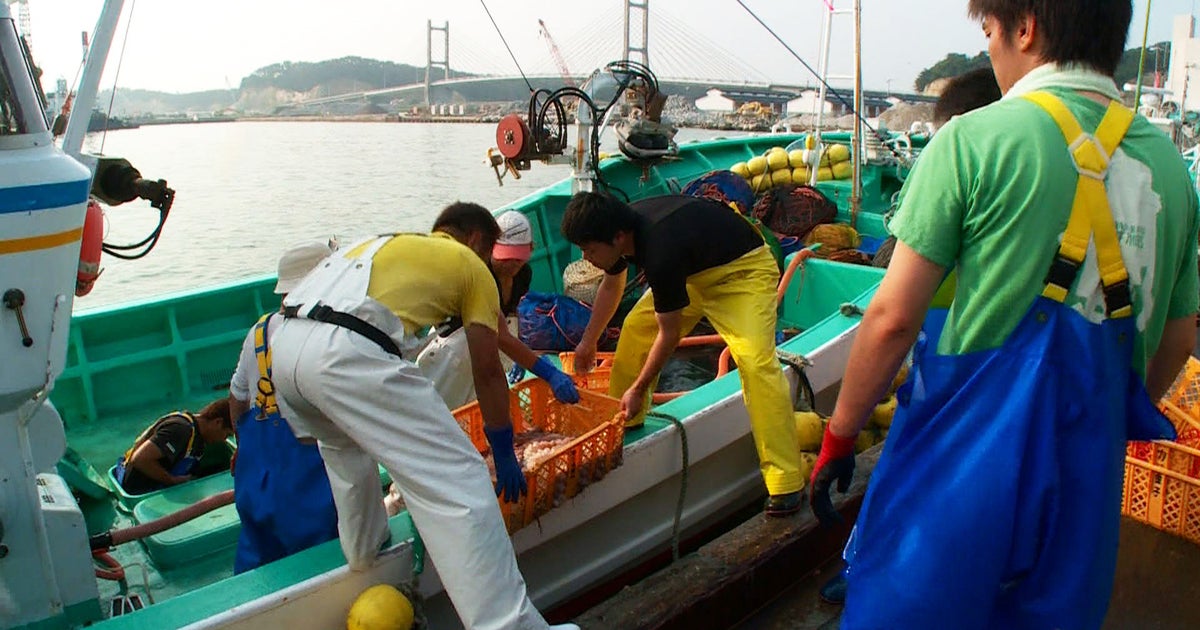 Radioactive leak impedes Japanese fishing, again - CBS News