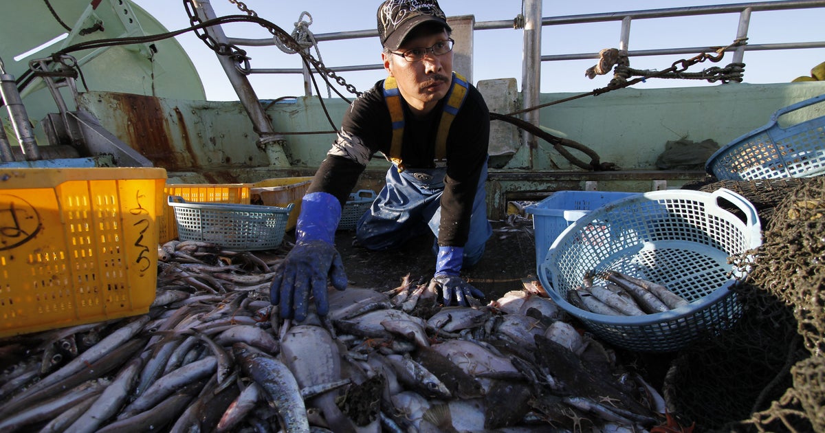 South Korea bans fish imports from Japan coast affected by leaking ...