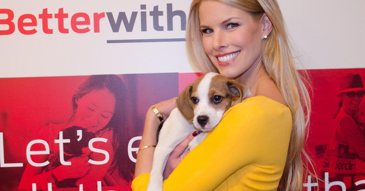 Beth Stern on her house full of pets and hosting the first-ever "Kitten ...