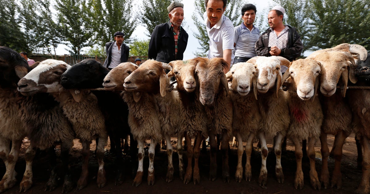 The Uighurs of China