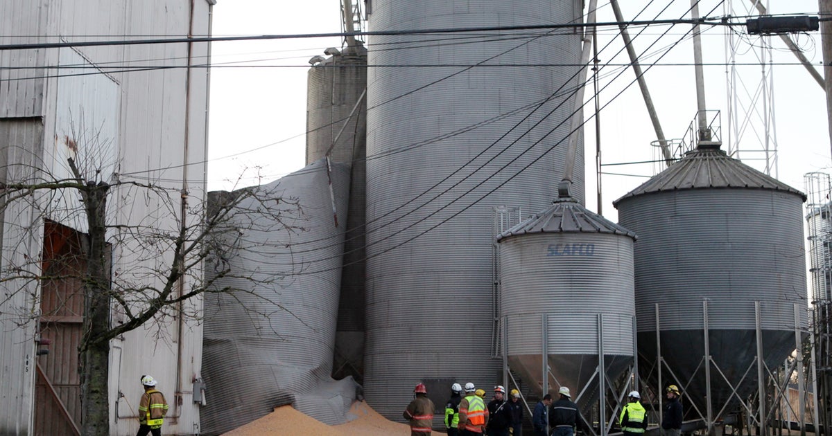Worker trapped in grain silo collapse in Wash. - CBS News